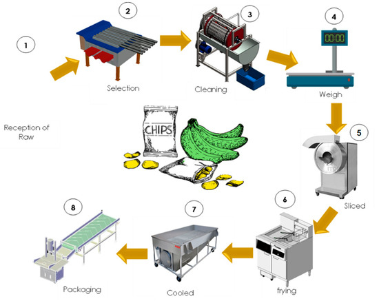 Selection of the Processing Method for Green Banana Chips from ...