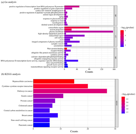 Applied Sciences | Free Full-Text | DiffRS-net: A Novel Framework for Classifying Breast Cancer ...