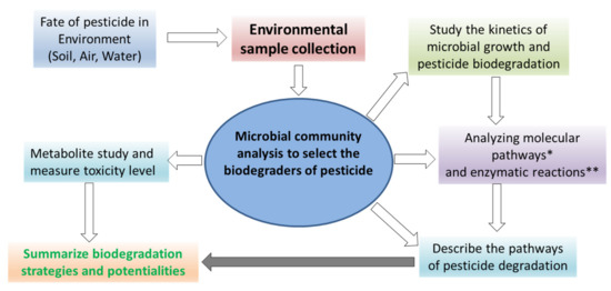 Phytomicrobiomes: A Potential Approach for Sustainable Pesticide ...