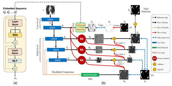 Applied Sciences | Free Full-Text | Automatic Medical Image ...