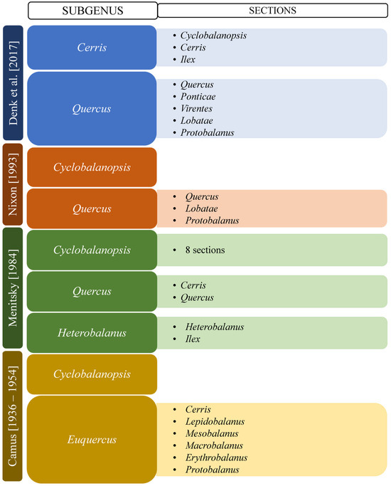 Acorns as a Source of Valuable Compounds for Food and Medical ...