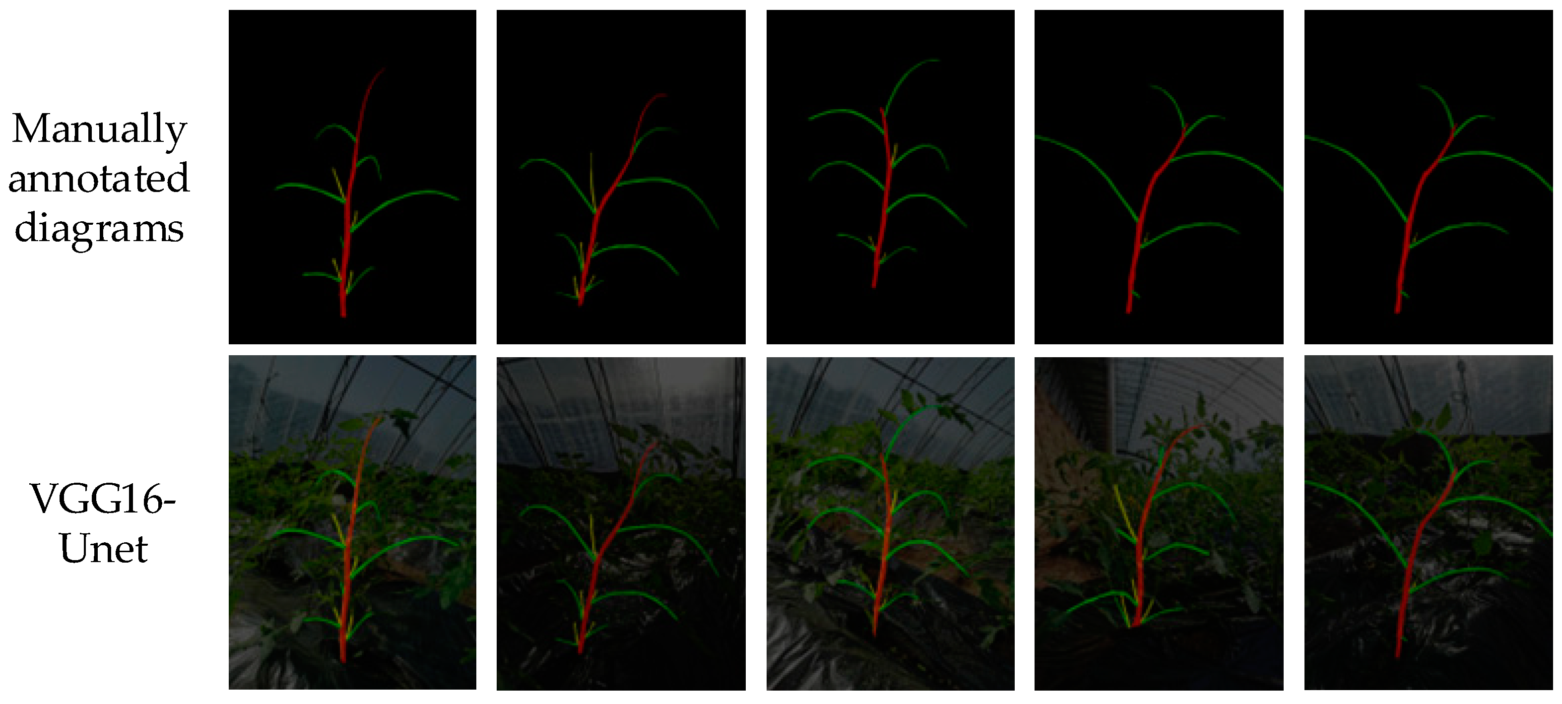A Multi-Target Identification and Positioning System Method for Tomato Plants Based on VGG16 ...