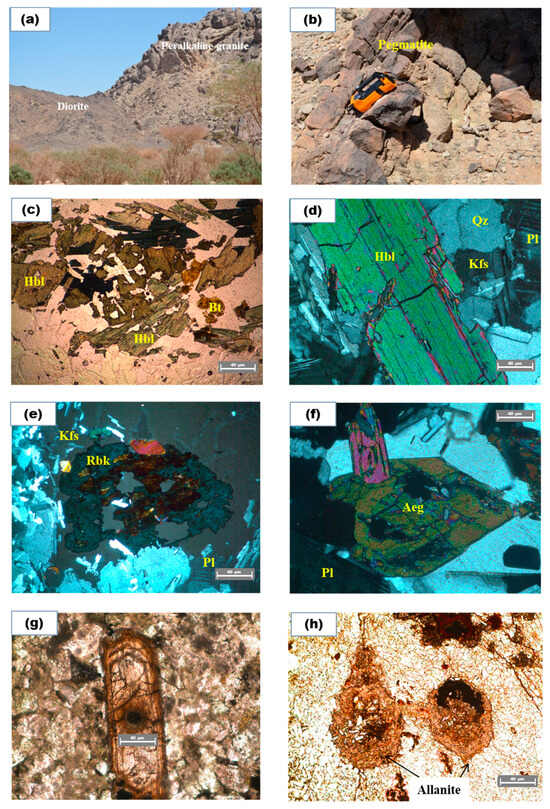 The Geochemistry, Petrogenesis, and Rare-Metal Mineralization of the ...
