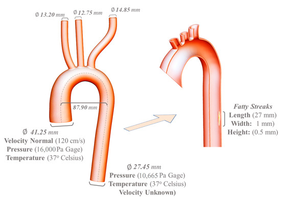 Computational Fluid Dynamics and Numeric Analysis of Aortic Wall Shear ...