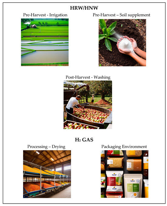 How Hydrogen (H2) Can Support Food Security: From Farm to Fork