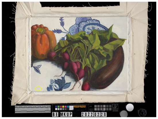 Development of a Thermal Separation Probe Gas Chromatography–Mass ...