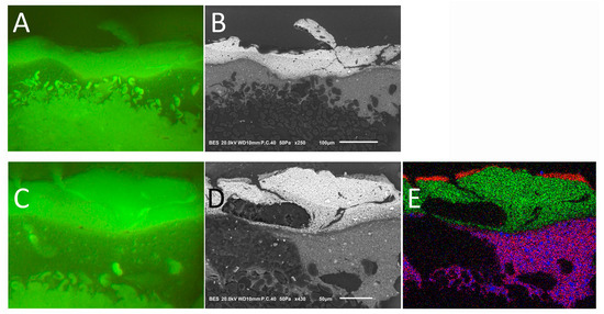Development of a Thermal Separation Probe Gas Chromatography–Mass ...