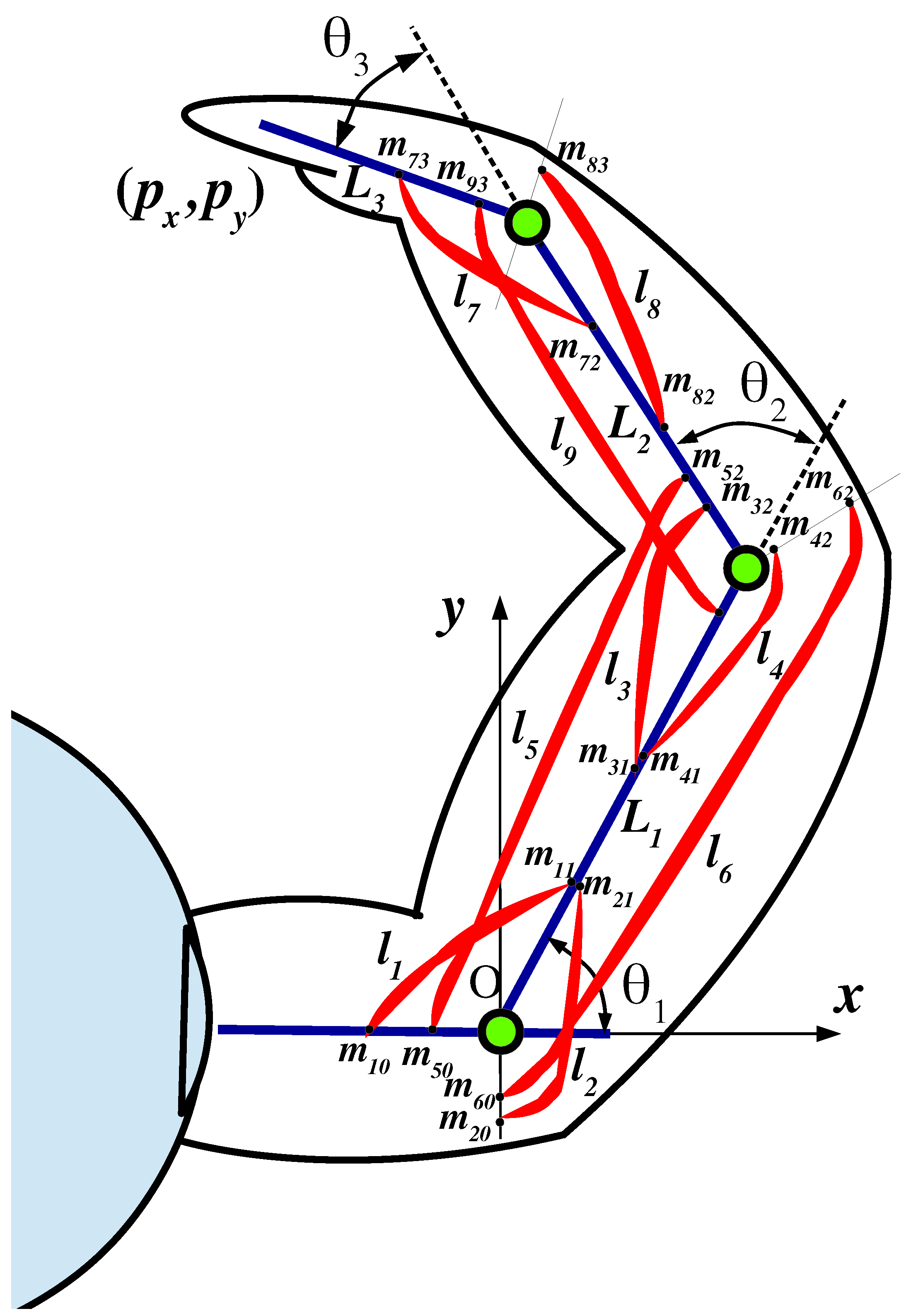 Sensorimotor Control Using Adaptive Neuro-Fuzzy Inference for Human-Like Arm Movement