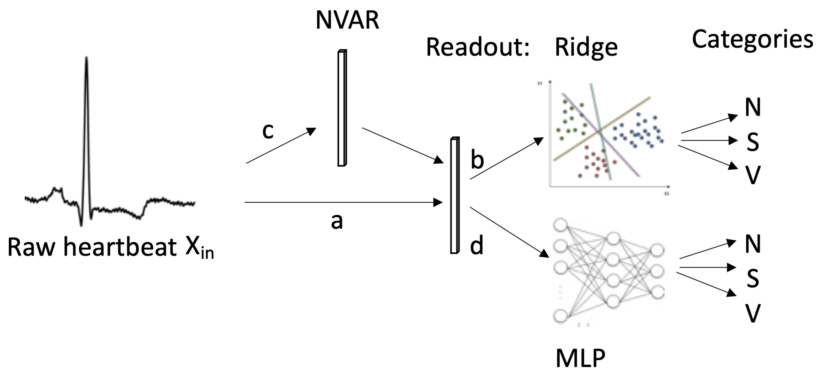 Enhancing Heartbeat Classification through Cascading Next Generation ...