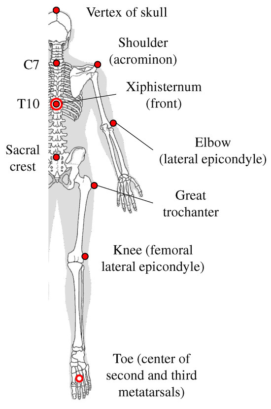 Estimating the Margin of Gait Stability in Healthy Elderly Using the ...