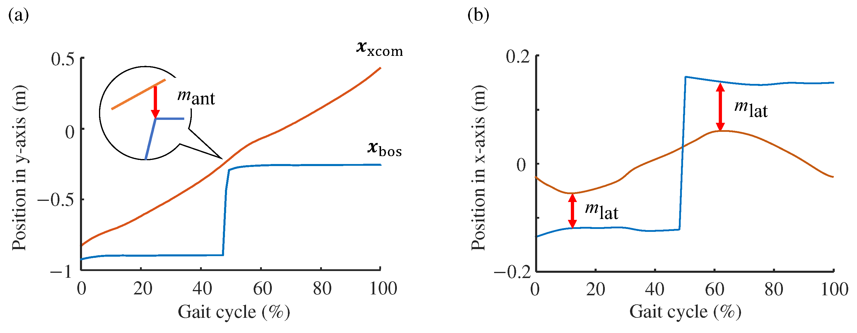 Estimating the Margin of Gait Stability in Healthy Elderly Using the ...