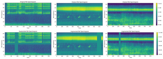 Enhancing Insect Sound Classification Using Dual-Tower Network: A ...