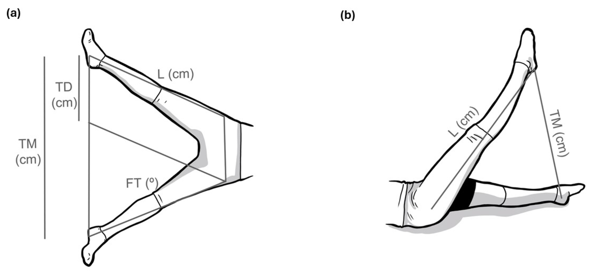A New Flexometric Method to Evaluate Range of Movement: A Validity and ...