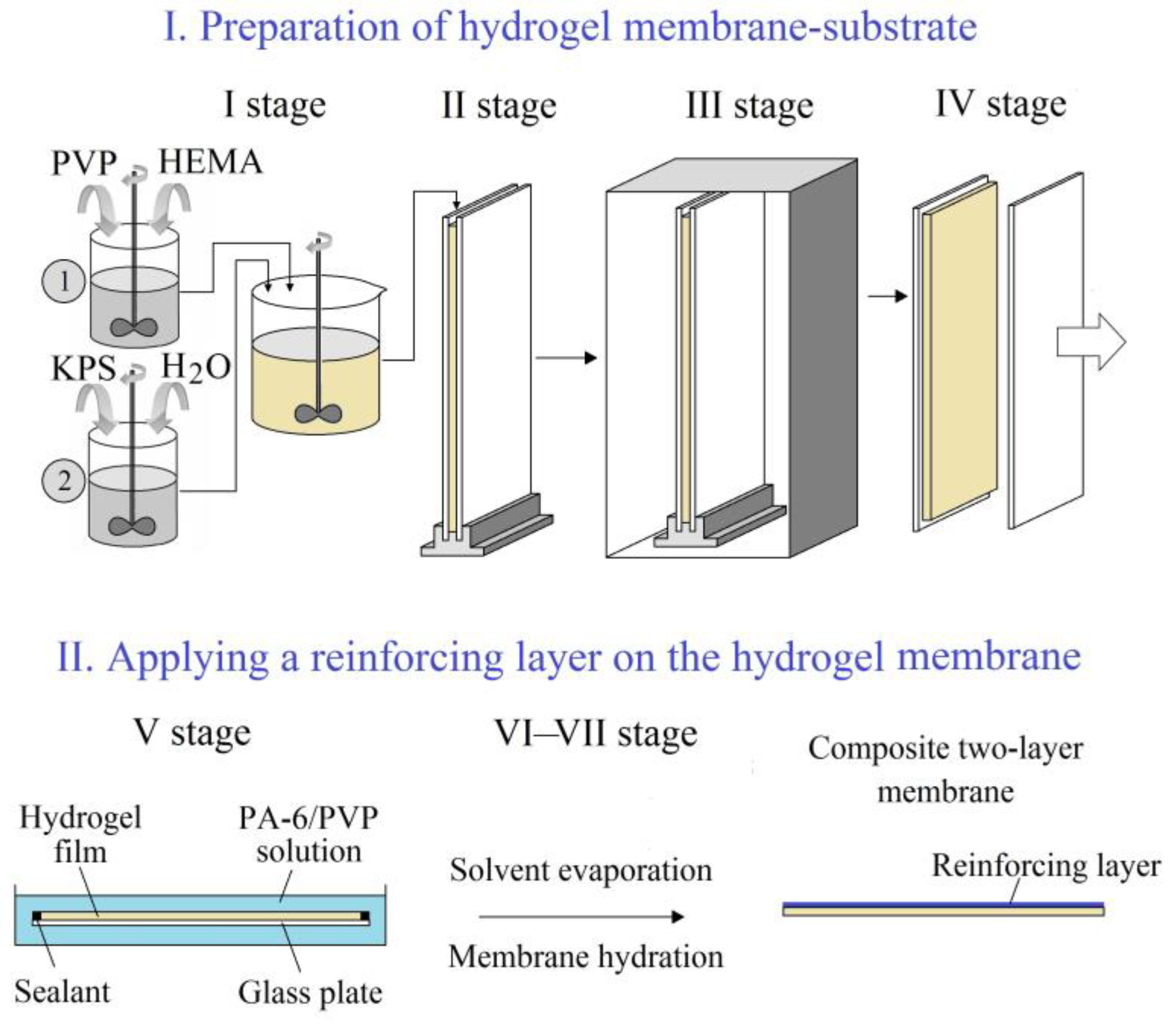Features of the Formation of a Reinforcing Coating on Hydrogel ...