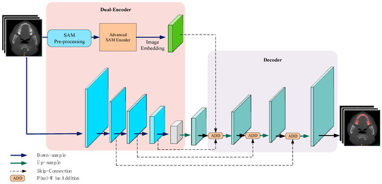 PPA-SAM: Plug-and-Play Adversarial Segment Anything Model for 3D Tooth ...