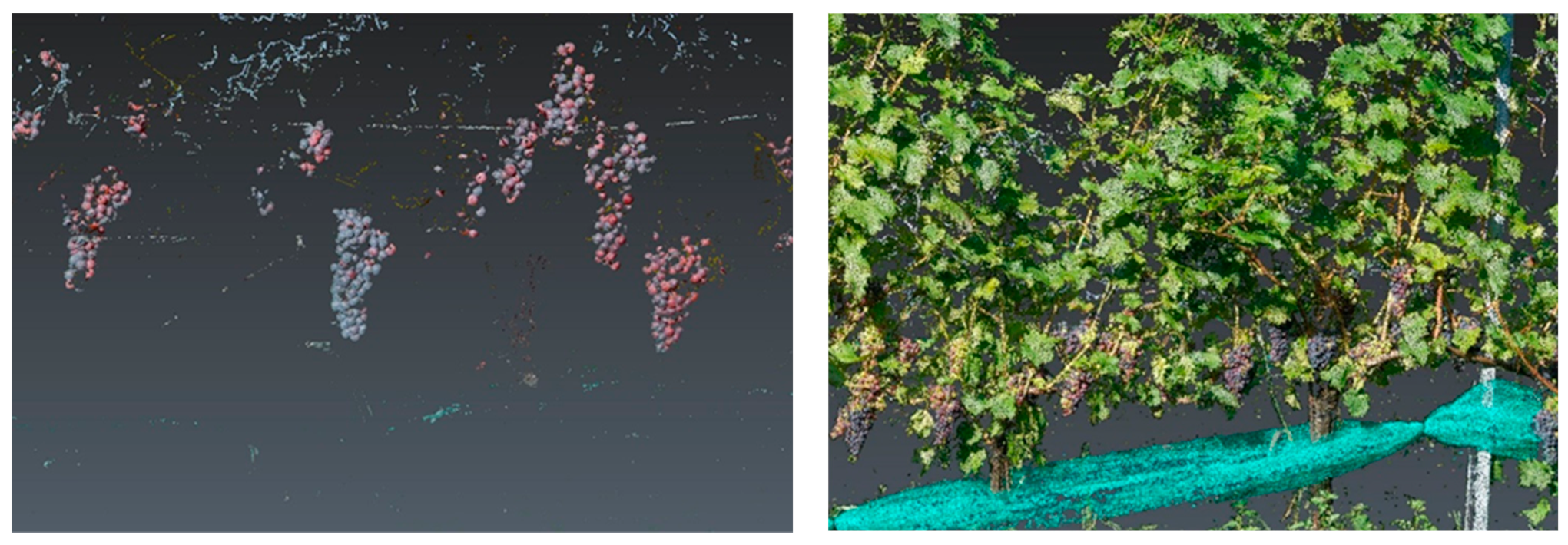 Automated Derivation of Vine Objects and Ecosystem Structures Using UAS ...