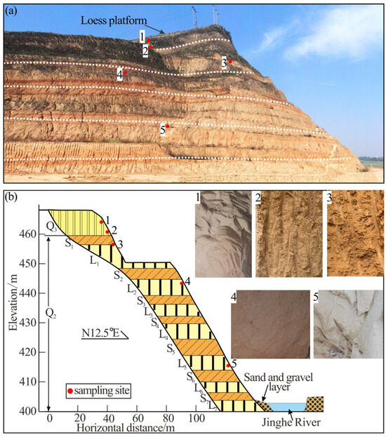 Analysis of Soil–Water Characteristic Curve and Microstructure of ...