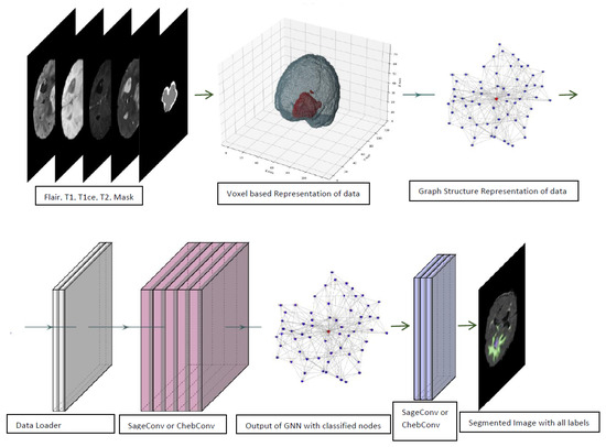 Advancing Brain Tumor Segmentation with Spectral–Spatial Graph Neural ...