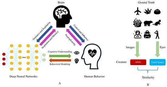 Exploring Deep Neural Networks in Simulating Human Vision through Five Optical Illusions