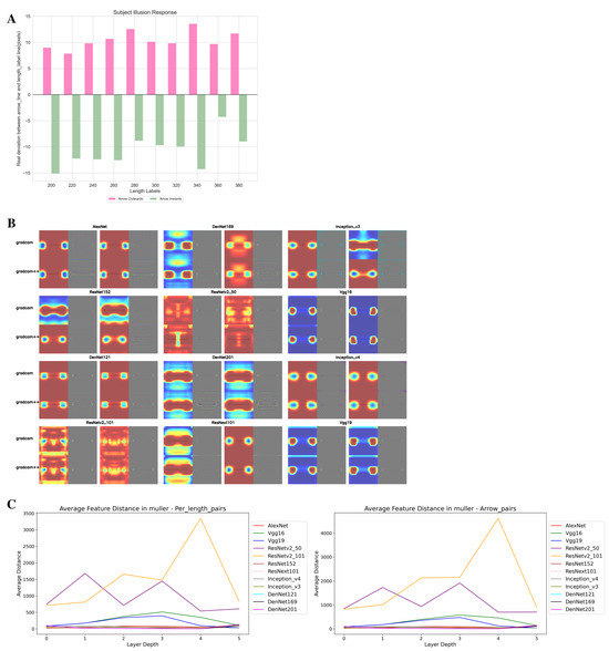 Exploring Deep Neural Networks in Simulating Human Vision through Five Optical Illusions