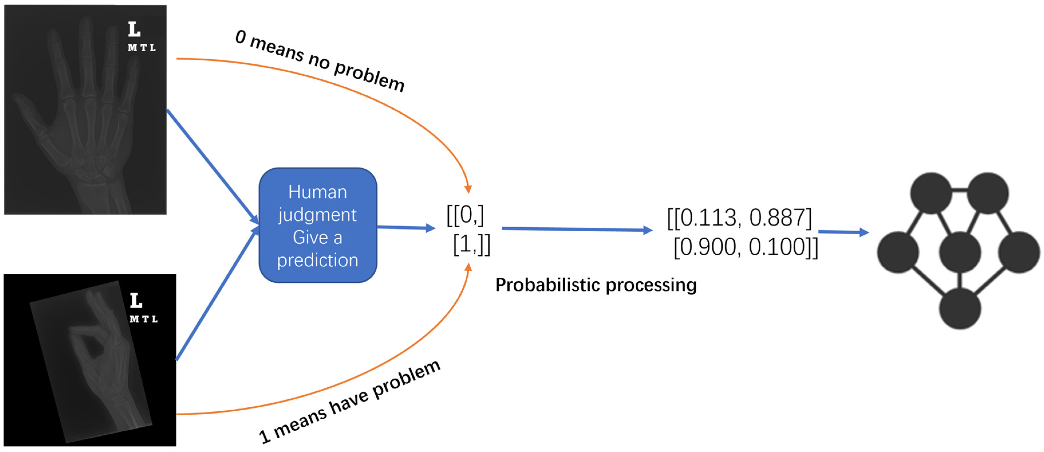 Applied Sciences | Free Full-Text | Research on X-ray Diagnosis Model ...