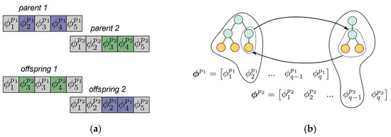 Data-Driven Identification of Crane Dynamics Using Regularized Genetic Programming