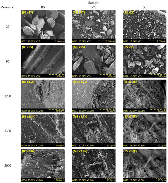 Removal of Contaminants in Water with Scallop Shell Waste