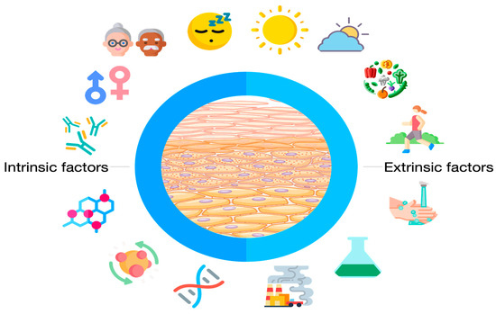 Role of Nutribiotics in Skin Care