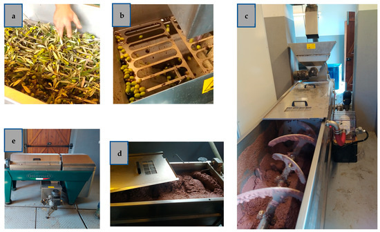 Challenges and Opportunities for Pilot Scaling-Up Extraction of Olive ...