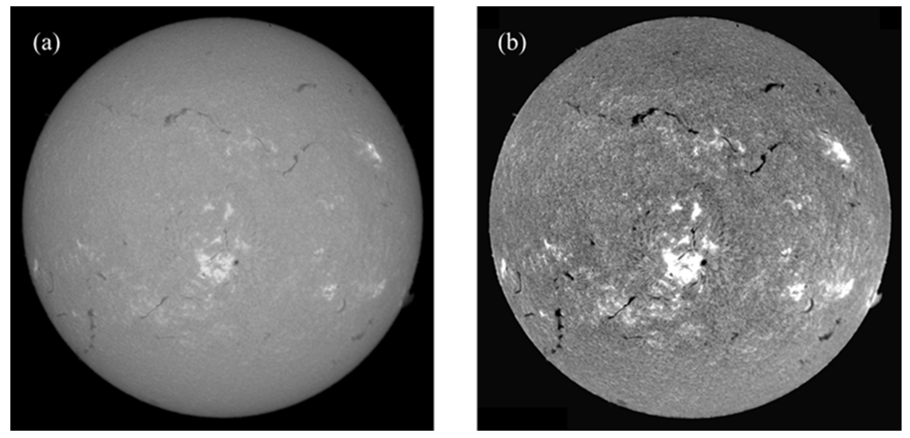 Solar Filament Detection Based on an Improved Deep Learning Model