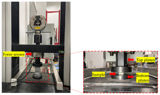 Compressive Characteristics and Energy Absorption Capacity of ...