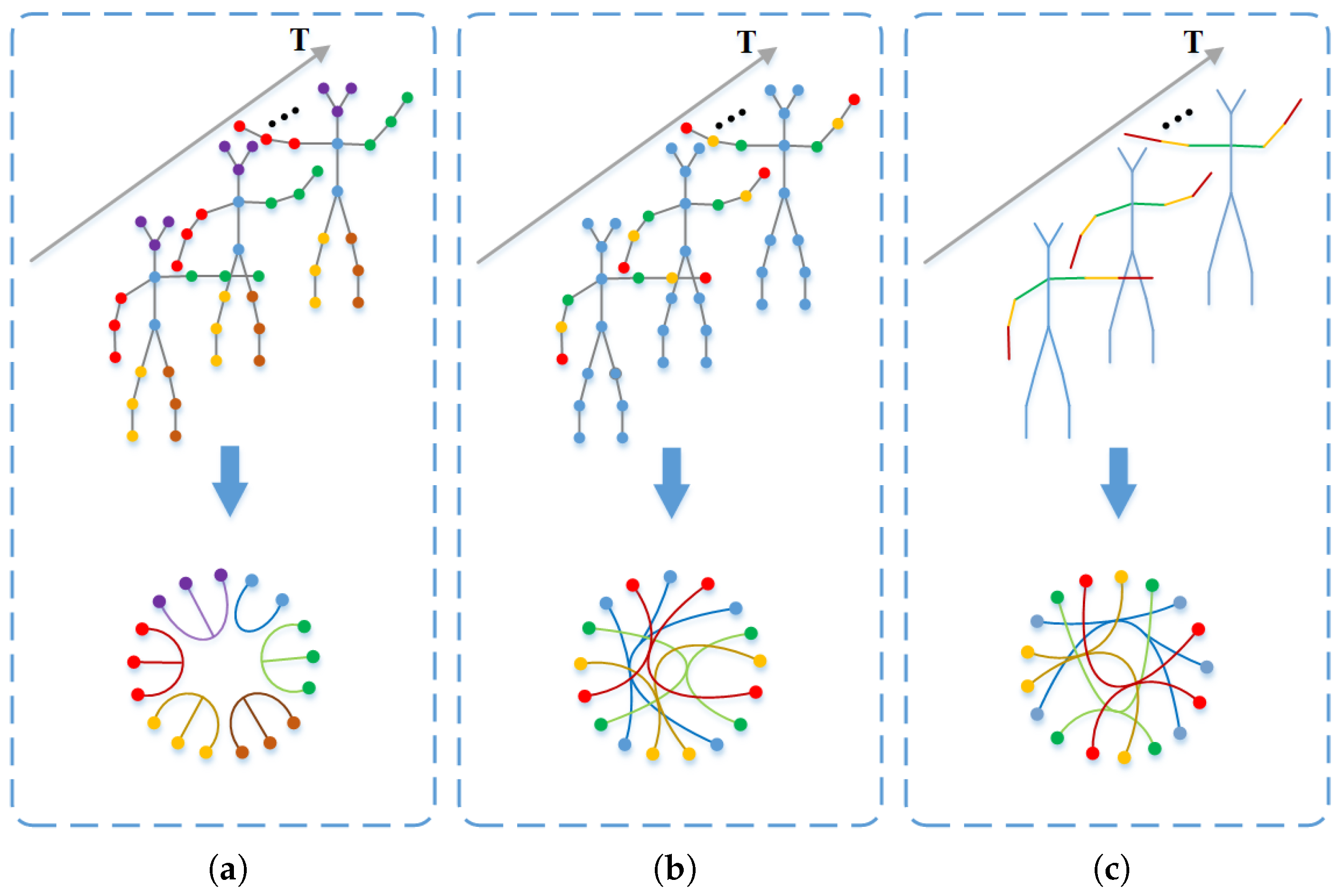 Exploring High-Order Skeleton Correlations with Physical and Non ...
