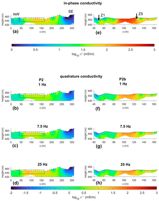 Graphite Content Identification with Laboratory and Field Spectral Induced Polarization Measurements