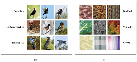 Deep Feature Retention Module Network for Texture Classification