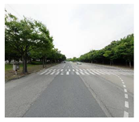 Spatial Image-Based Walkability Evaluation Using Regression Model