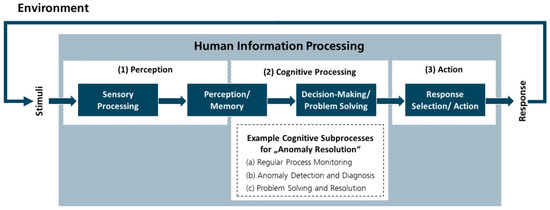 Towards a Cognition-Based Framework Describing Interdisciplinary Expert ...