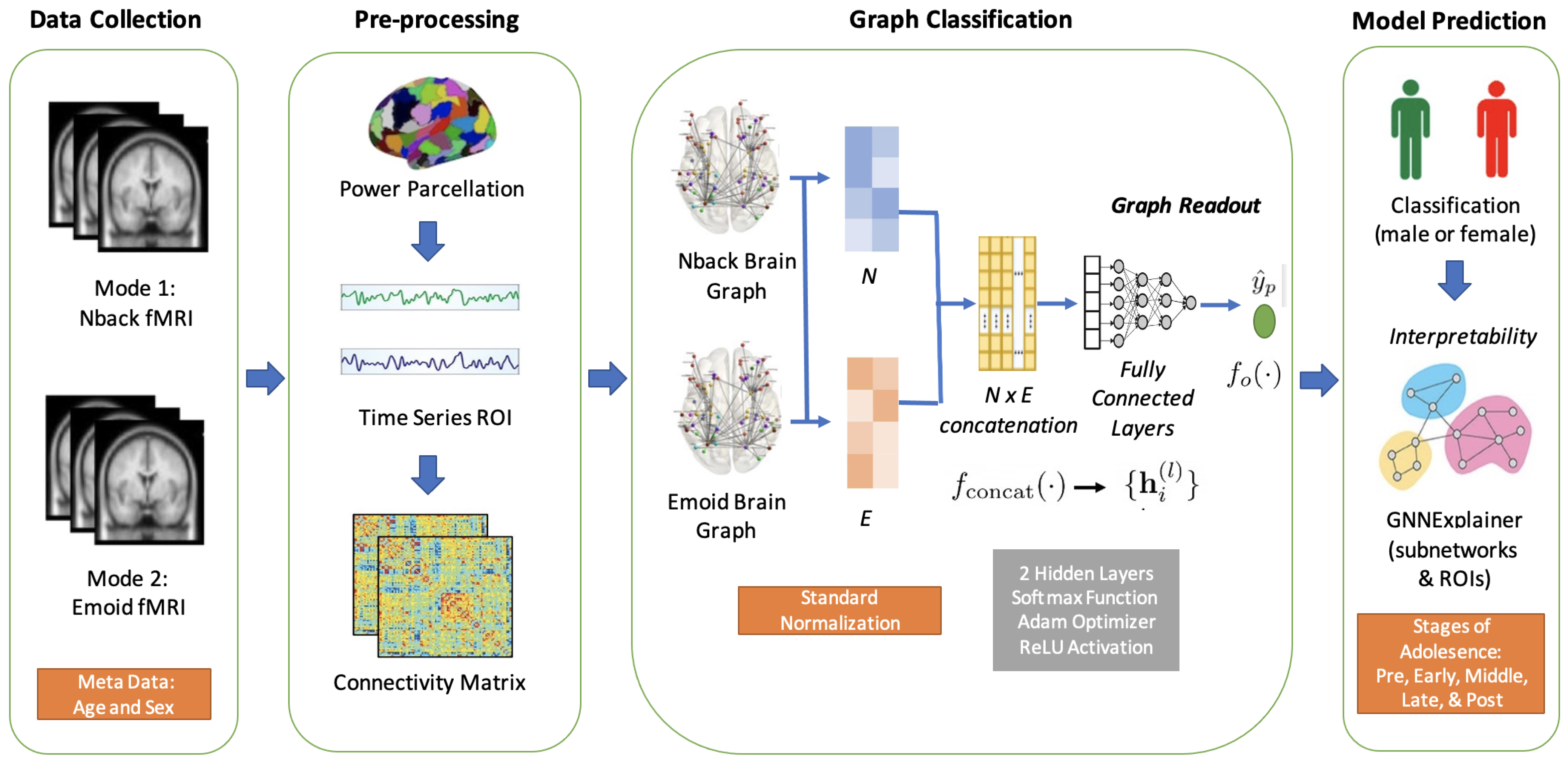 Explainable Multimodal Graph Isomorphism Network for Interpreting Sex ...