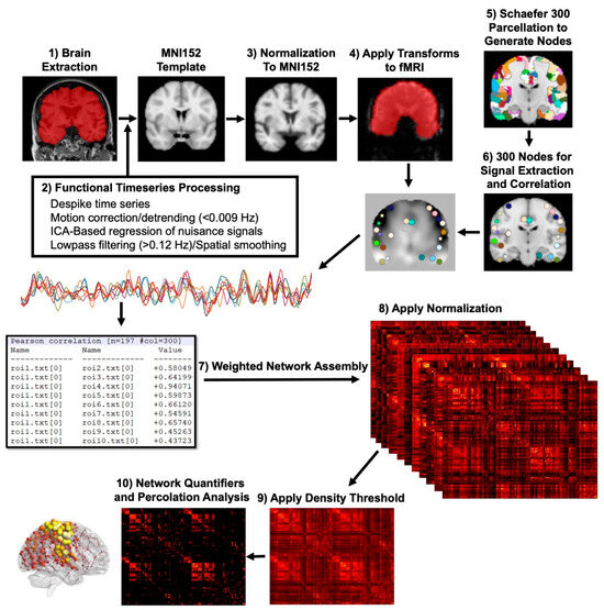 Brain Network Modularity and Resilience Signaled by Betweenness ...