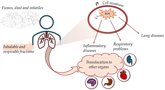 An Overview of Tools and Challenges for Safety Evaluation and Exposure ...