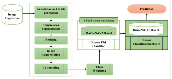 Convolution Neural Network Based Multi-Label Disease Detection Using Smartphone Captured Tongue ...