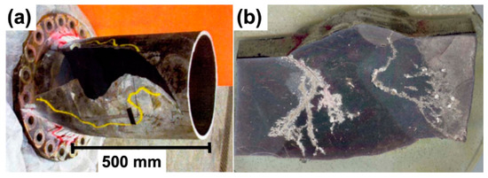 Review on Mercury Control during Co-Firing Coal and Biomass under O2 ...