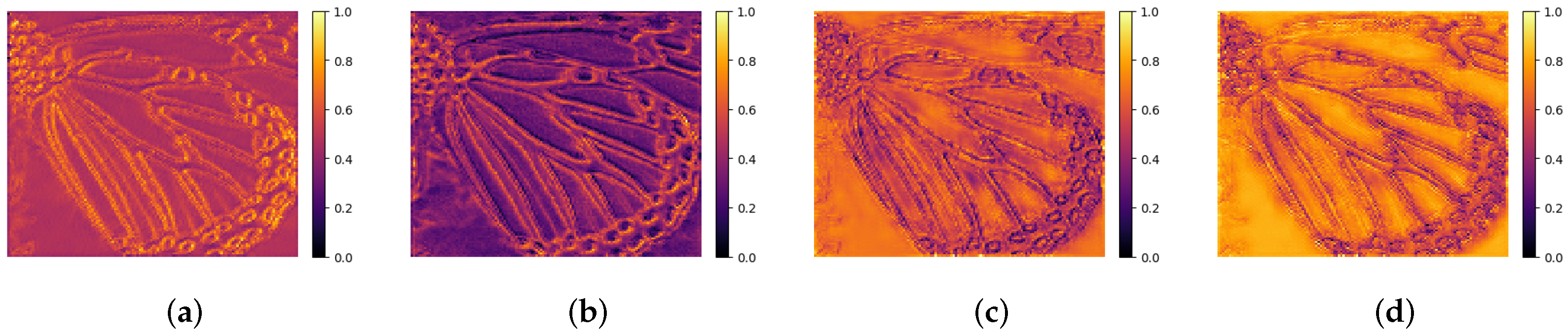 Frequency-Separated Attention Network for Image Super-Resolution