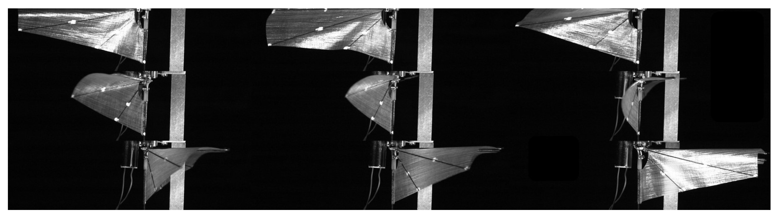 Applied Sciences | Free Full-Text | Aerodynamic Analysis of Hovering ...