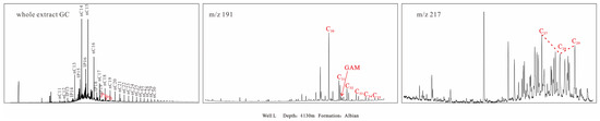 Source Rock Prediction Using Well Log and Seismic Data: A Study of the ...
