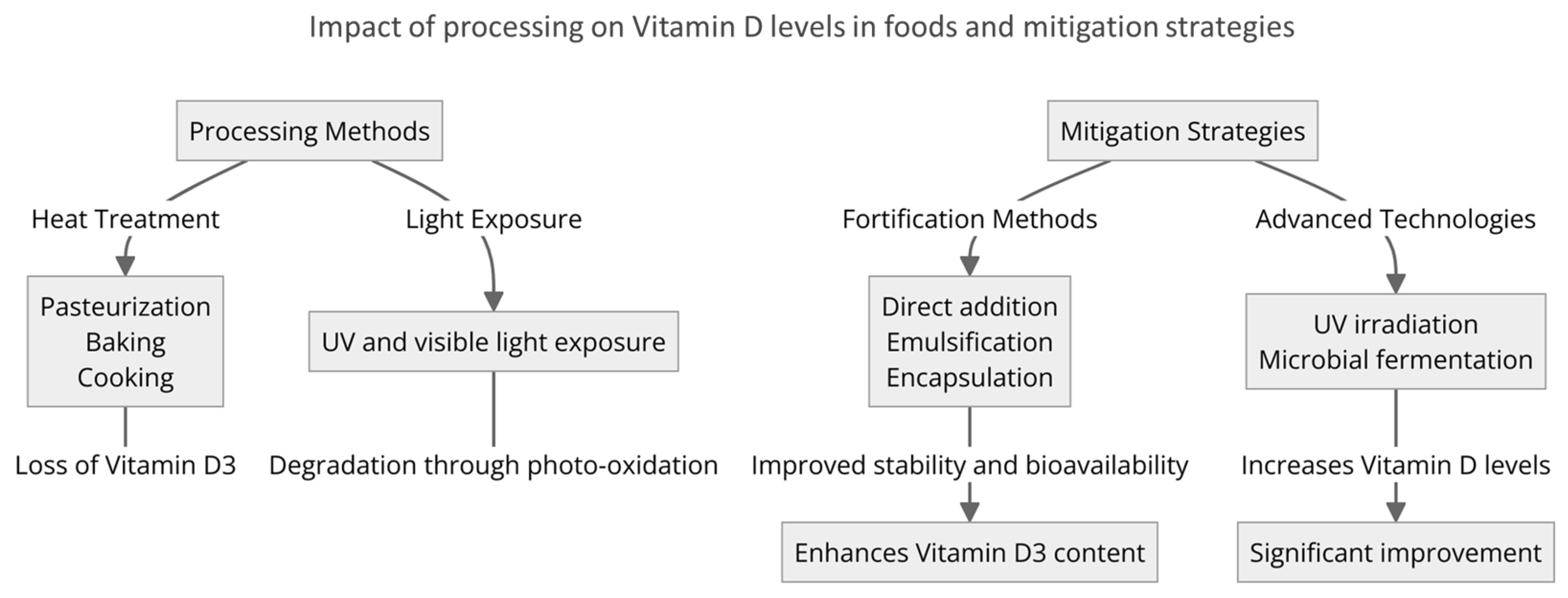 Exploring Vitamin D Synthesis and Function in Cardiovascular Health: A ...