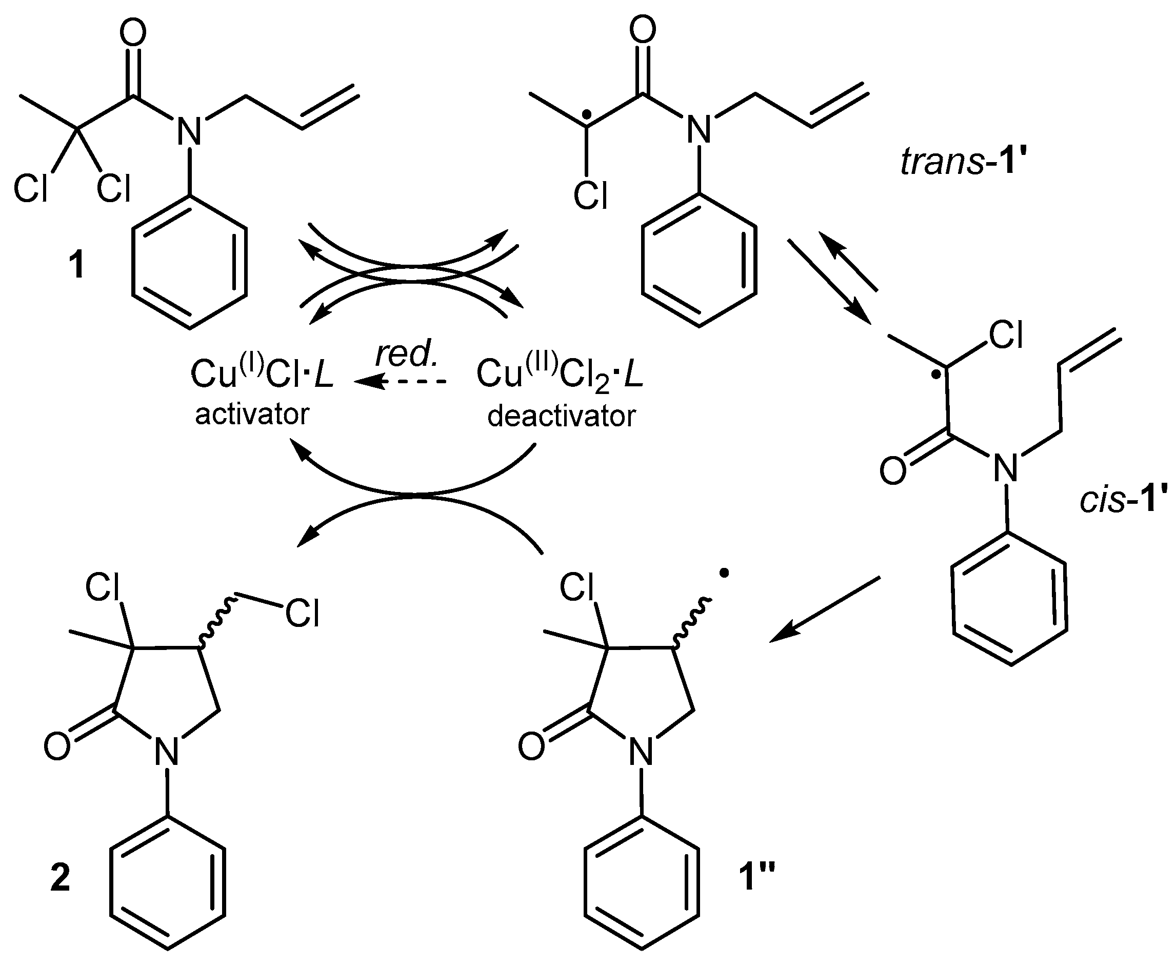 Atom Exchange Radical Cyclization: A Sustainable Synthetic Approach ...