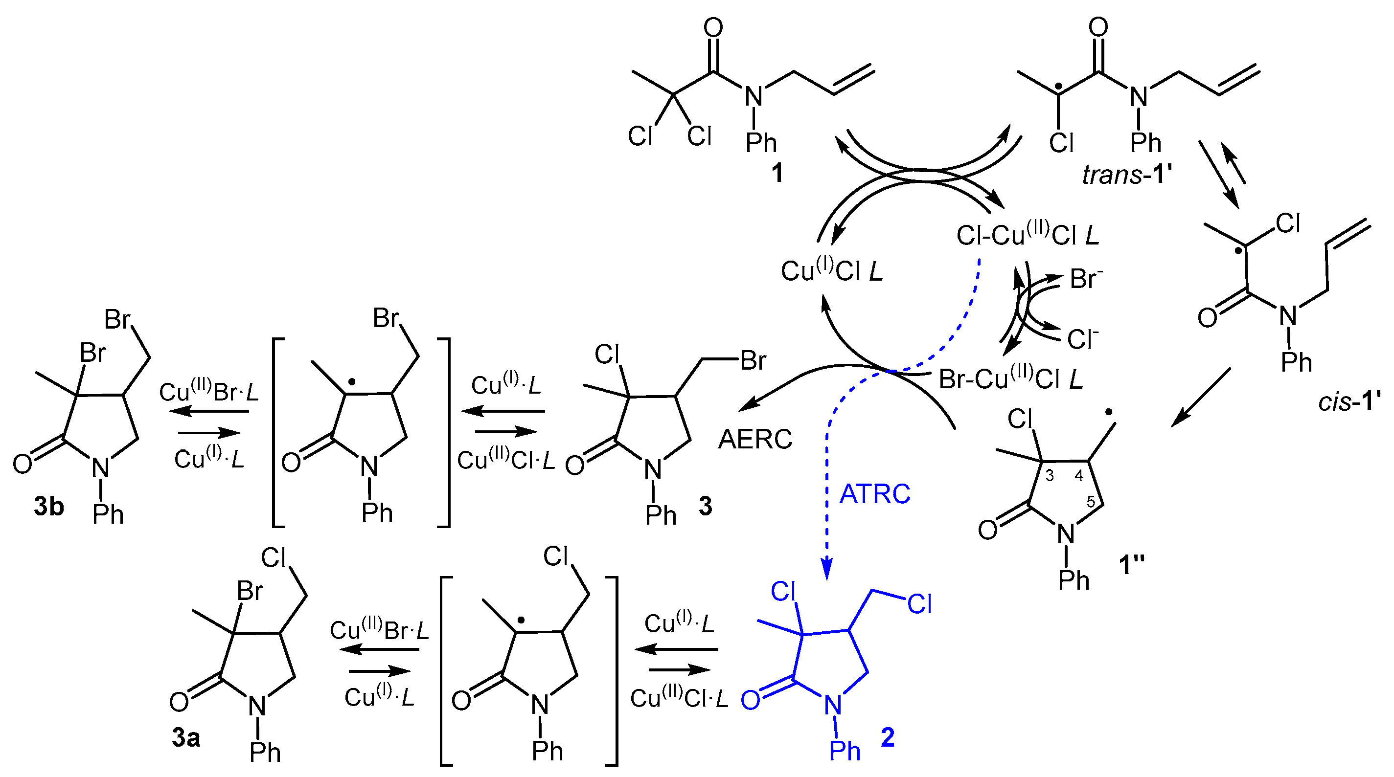 Atom Exchange Radical Cyclization: A Sustainable Synthetic Approach ...