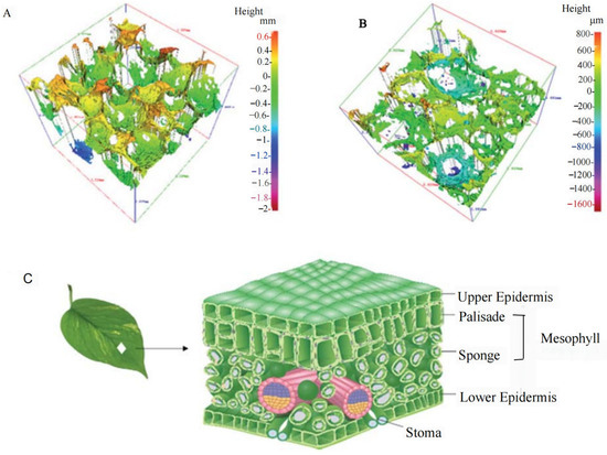 Design and Application of Bionic Camouflage Materials Simulating ...