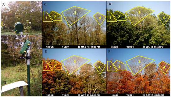 Design and Application of Bionic Camouflage Materials Simulating ...