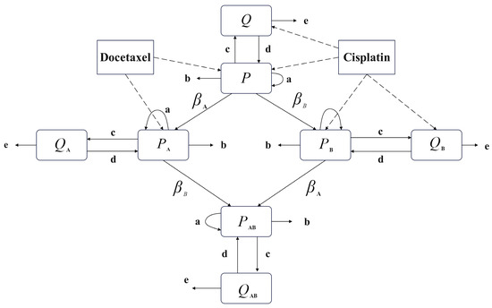 Applied Sciences | Free Full-Text | Chemotherapy Regimen Optimization Using a Two-Archive Multi ...